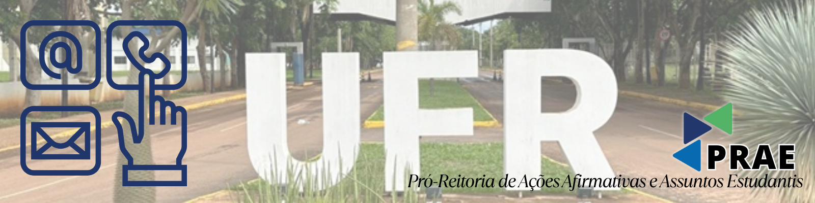 Equipe e Contatos